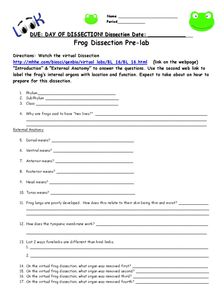 Frog Virtual Dissection | PDF | Heart | Vein