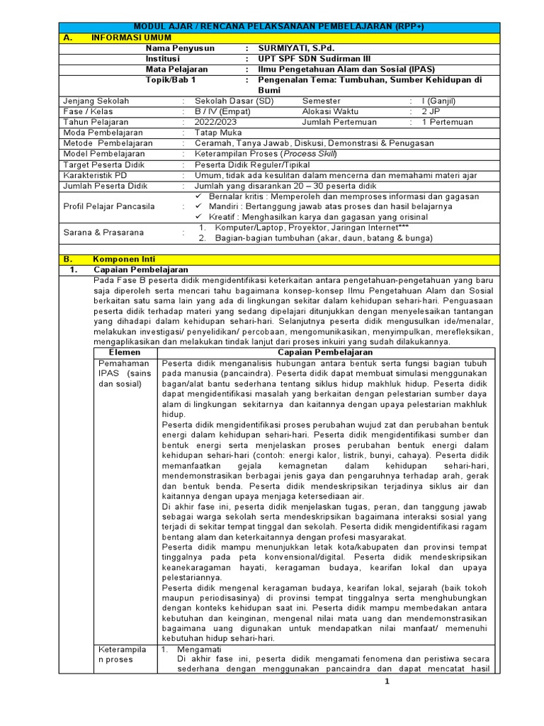 RPP Ipas KLS Iv SMS 1 | PDF