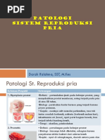 Kodefikasi Penyakit Reproduksi Pria | PDF