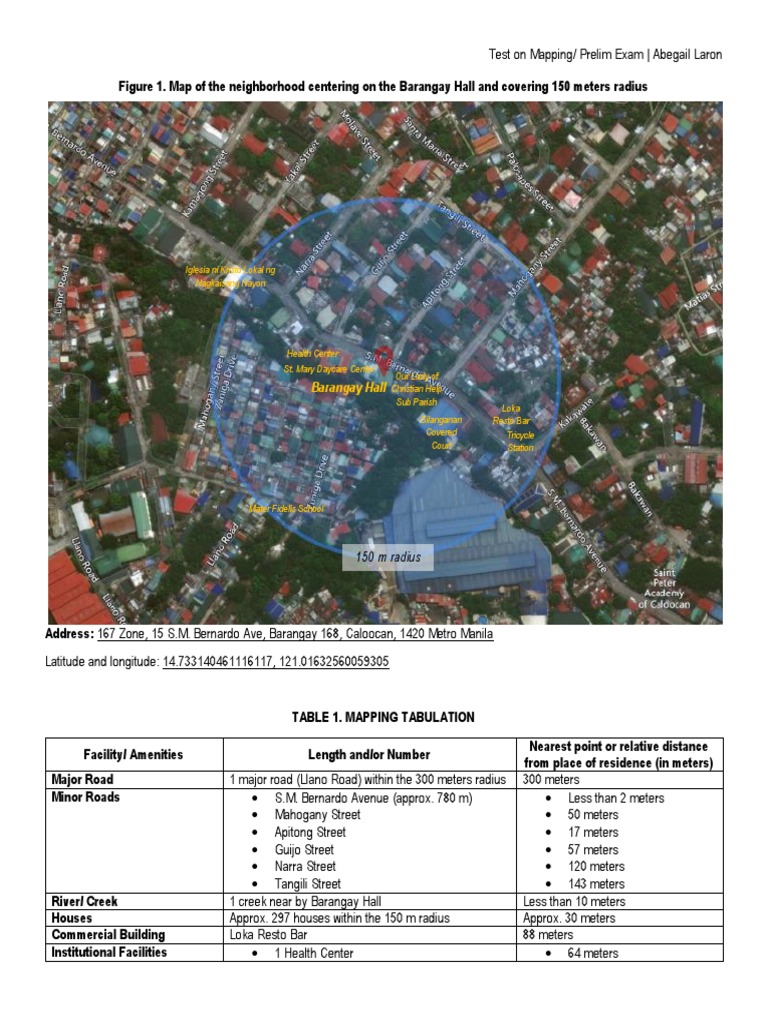 Test On Mapping or Prelim Exam | PDF | Flood | Risk