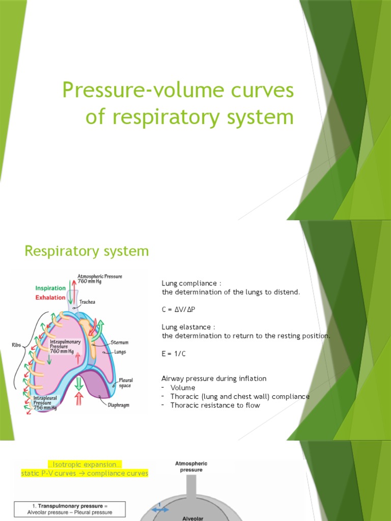 Pressure-Volume Curves of Respiratory System | PDF | Lung | Respiratory ...