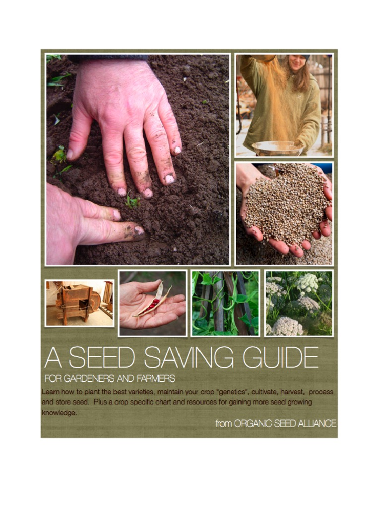Seed Saving Guide | PDF | Flowers | Pollination