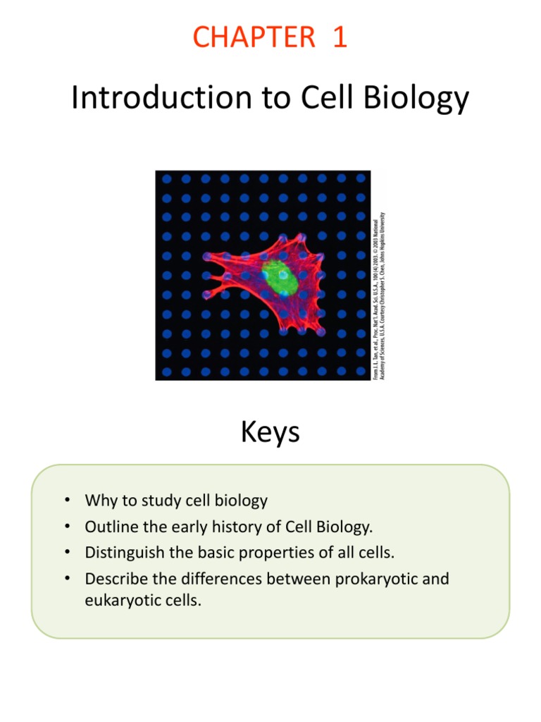 Chapter 1 Introduction To Cell Biology, Biols300 | PDF | Cell (Biology ...