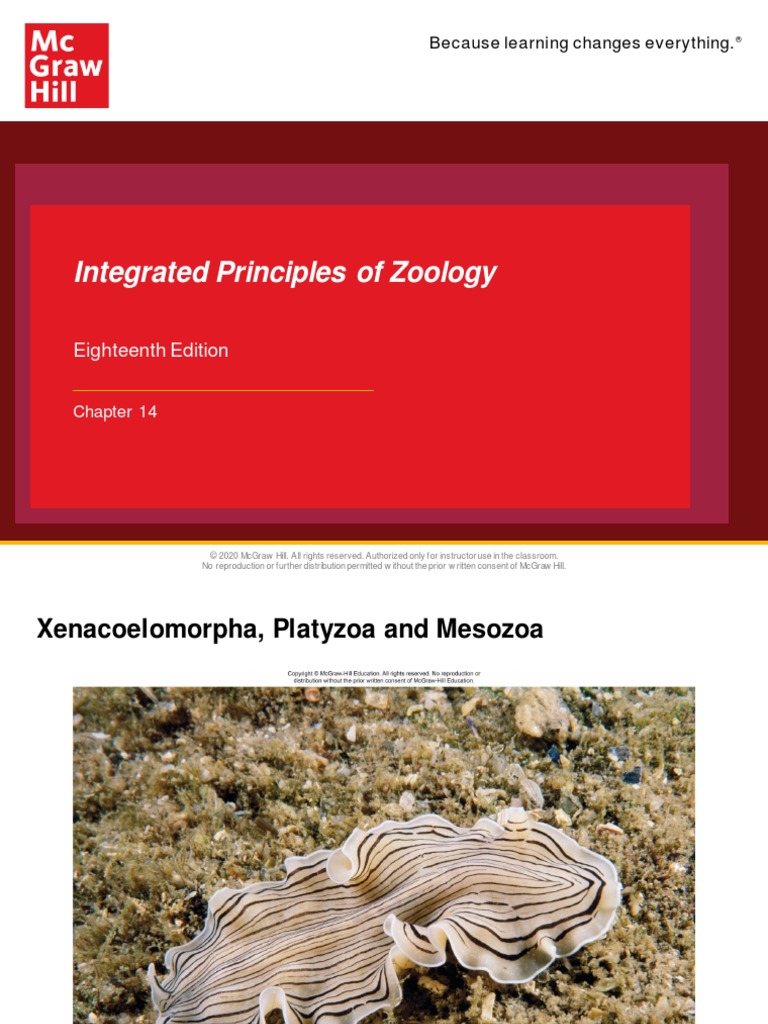 CH 14 | PDF | Zoology | Anatomy