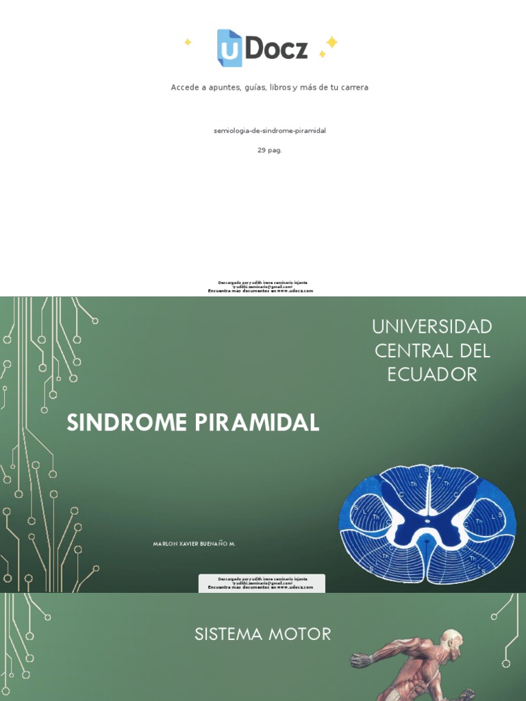 Semiologia de Sindrome Piramidal 198271 Downloable 1180406 | PDF ...