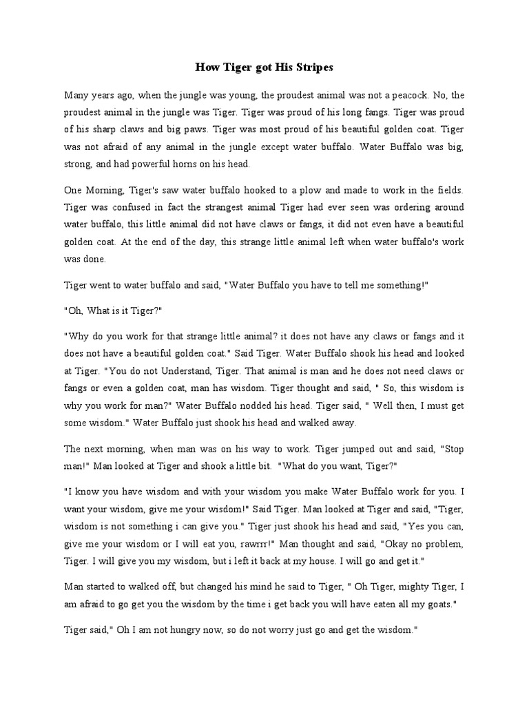 How Tiger Got His Stripes Story | PDF | Tiger