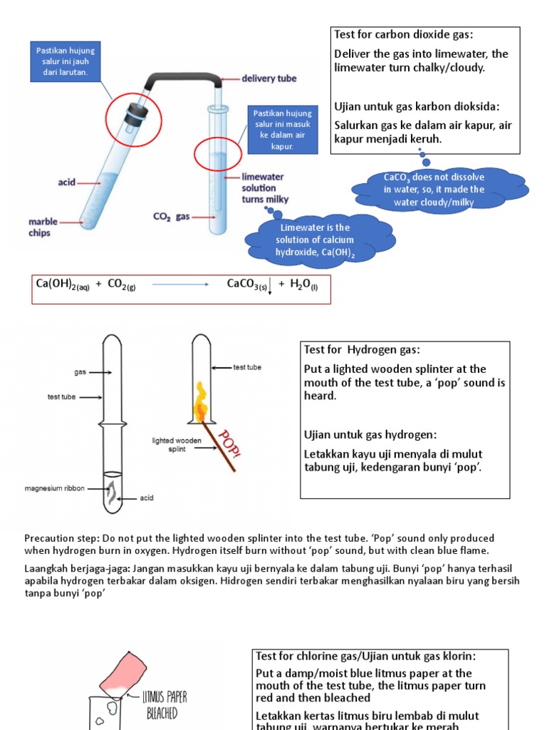 Test For Gases | PDF