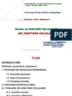 Jonctions Cellulaires et Fonctions | PDF | Membrane cellulaire | Biochimie