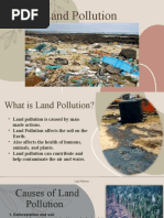 Geography (Land Pollution) Project | PDF