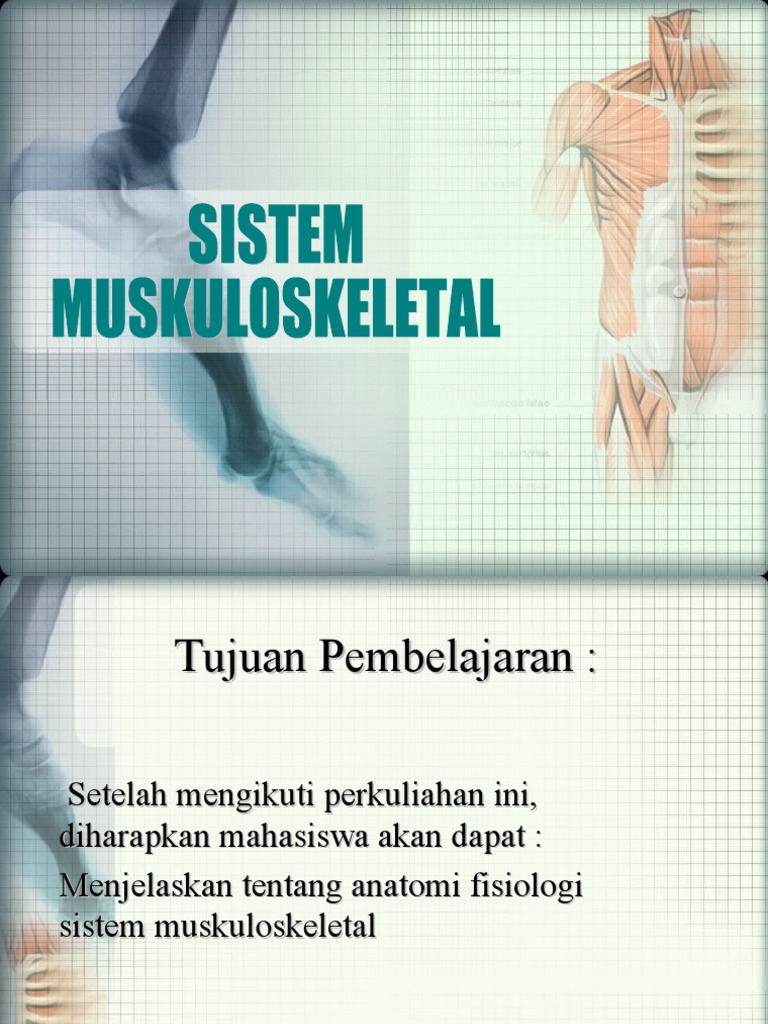 Anatomi Fisiologi Sistem Muskuloskeletal | PDF