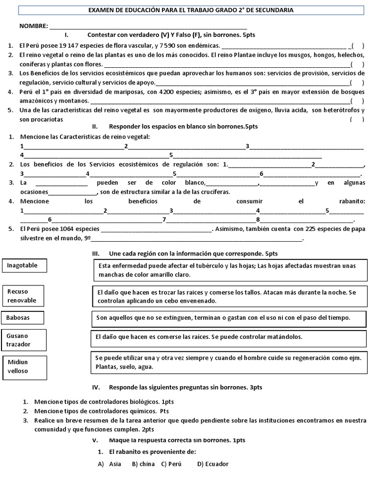 Examen de Educación para el Trabajo 2° Sec. | PDF | Plantas | Naturaleza