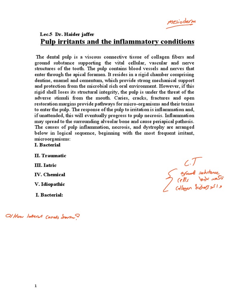 Pulp Inflammation: A Breakdown of the Causes and Effects of Irritants ...