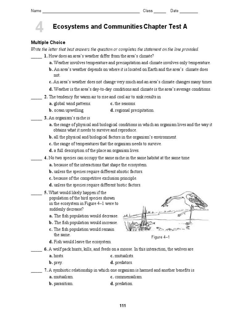 Chapter 4 Ecosystems and Communities Test A | PDF | Ecological Niche | Sea