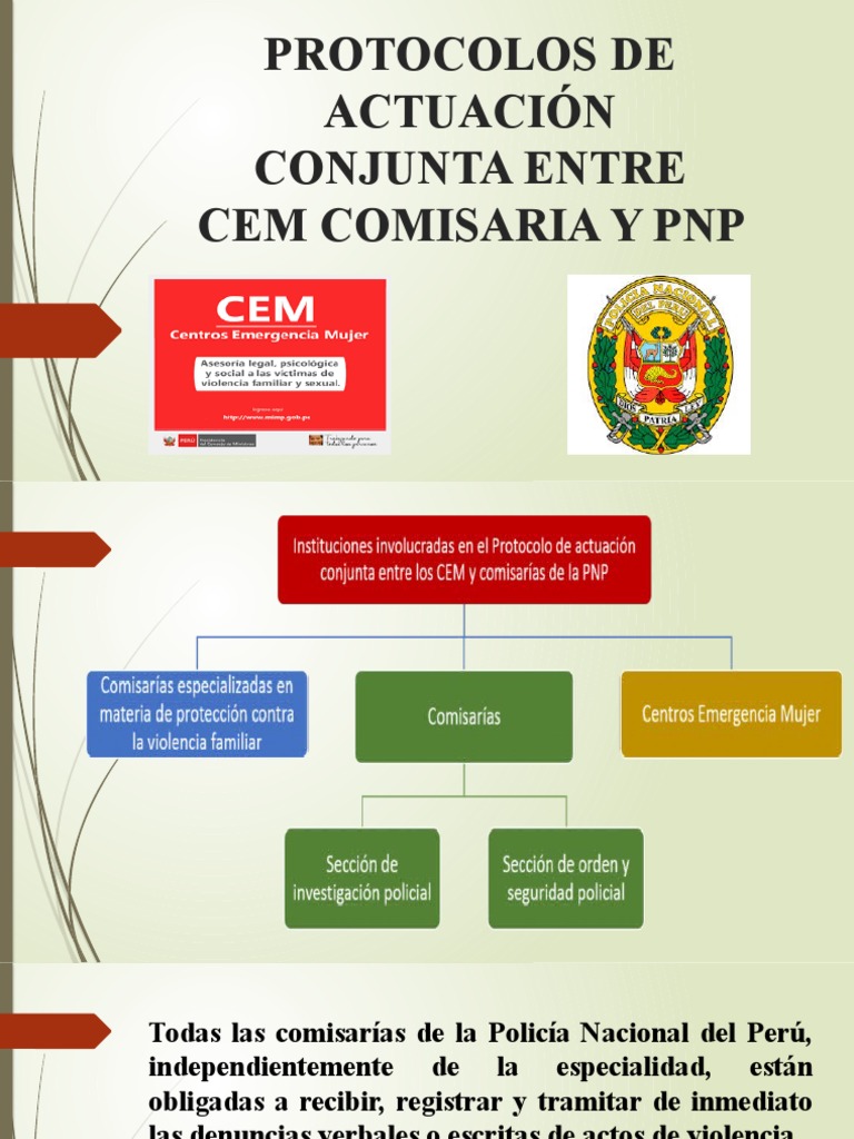 PROTOCOLOS DE ACTUACIÓN CONJUNTA ENTRE CEM COMISARIA Y | PDF | Violencia | Trabajo Social