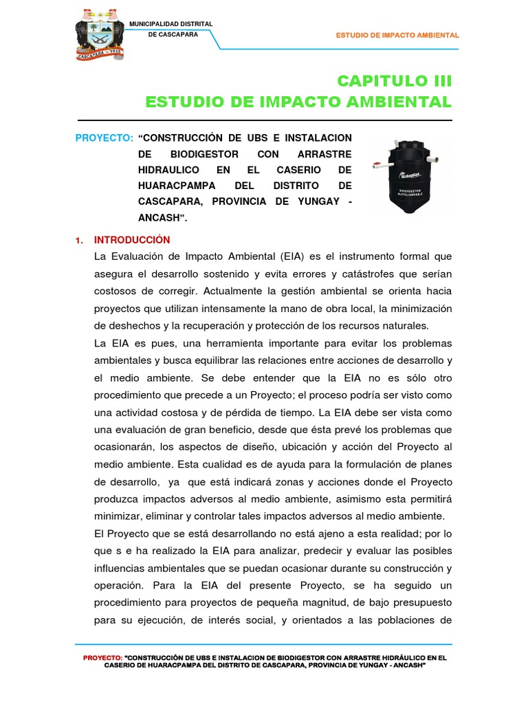 Estudio de Impacto Ambiental en Cascapara | PDF | Evaluación de impacto ...