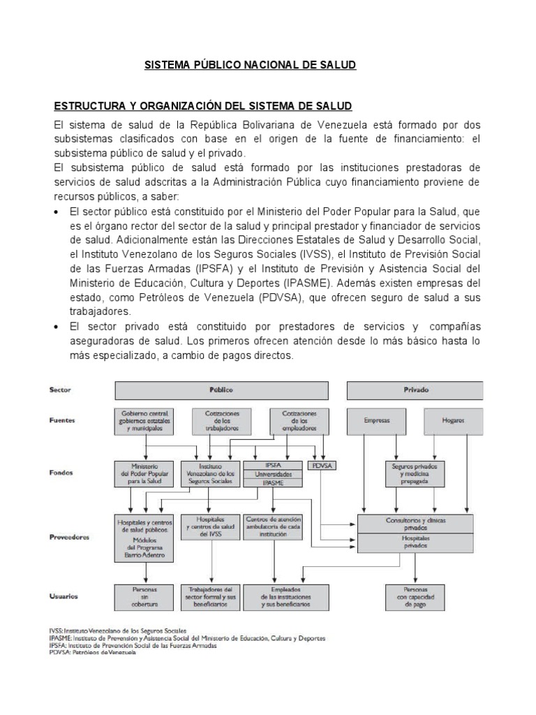 Estructura y Organizacion Del Sistema Publico Nacional de Salud | PDF | Hospital | Ministerio ...