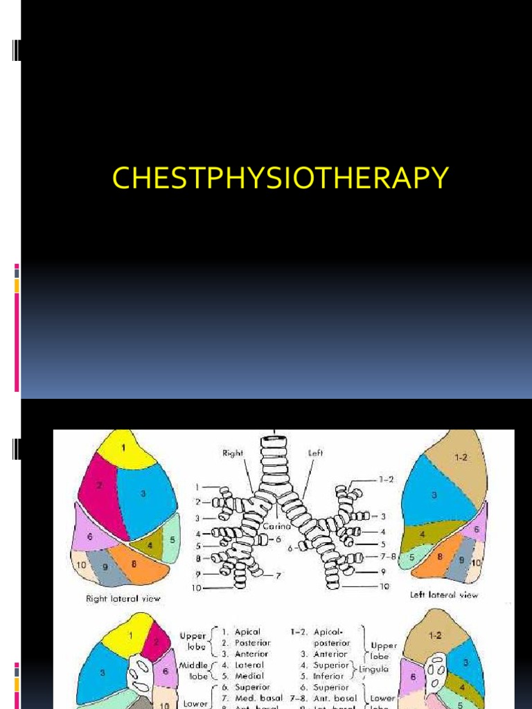 Chest Physiotherapy Techniques Overview | PDF | Lung | Chronic ...