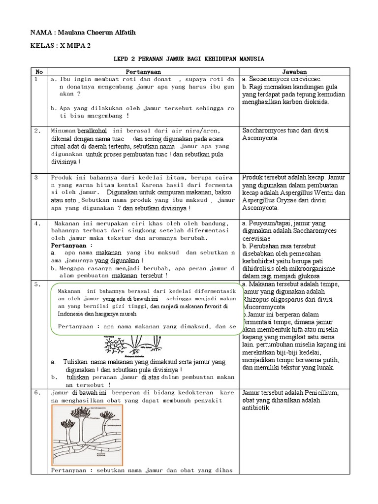 Lkpd 1 Peranan Jamur Bagi Kehidupan Manusia Pdf