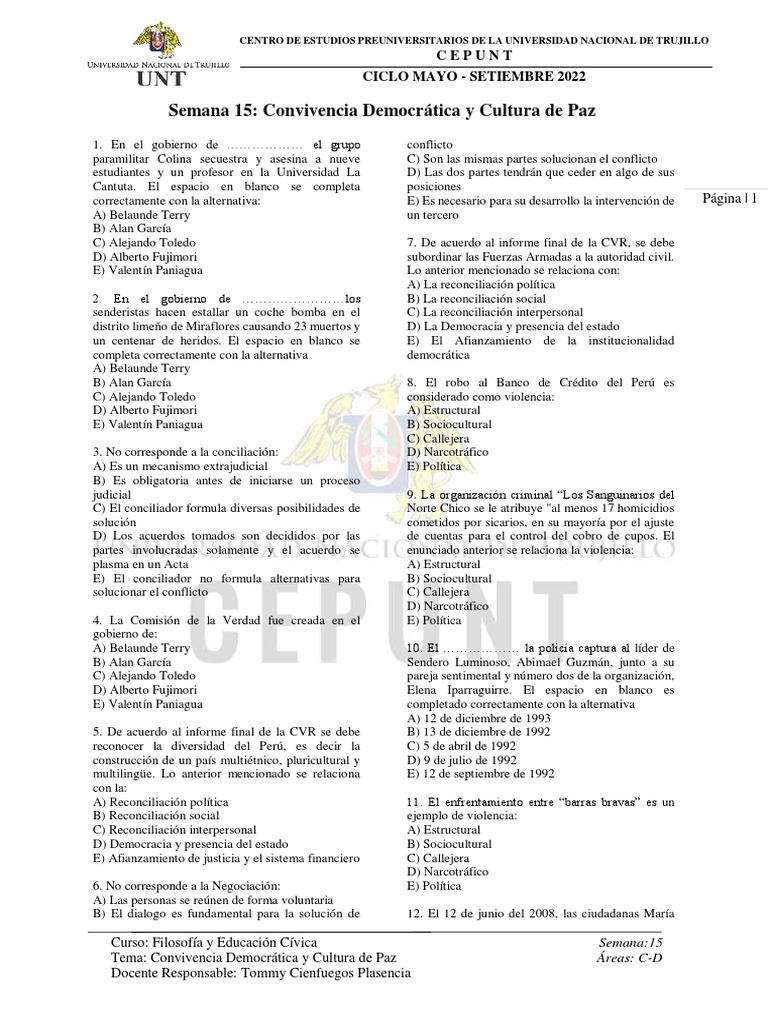 15 Convivencia Democratica y Cultura de Paz C-D PLATAFORMA | PDF