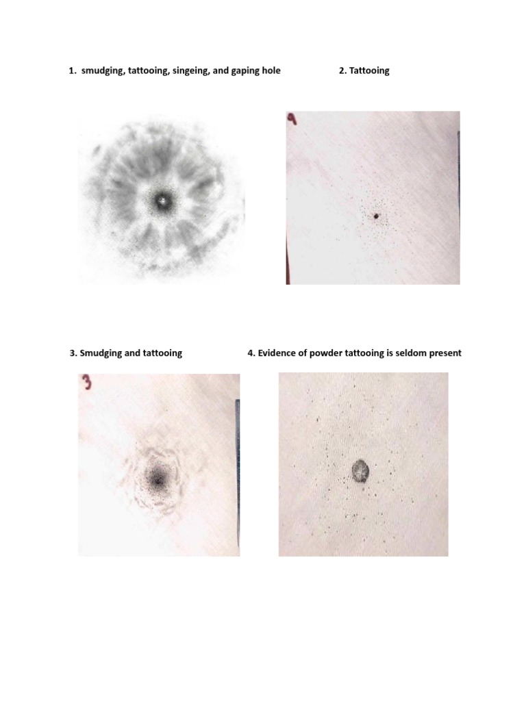 Experiment 7 | PDF | Gunpowder | Tattoo