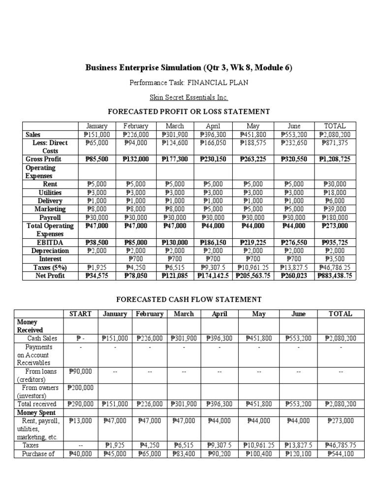 Projecting Profits and Cash Flow: A 6-Month Financial Plan for Skin ...