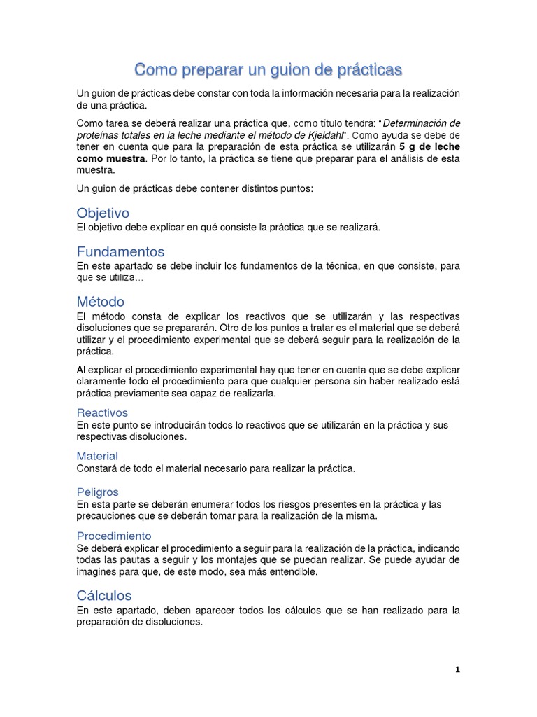 Guión de Prácticas | PDF