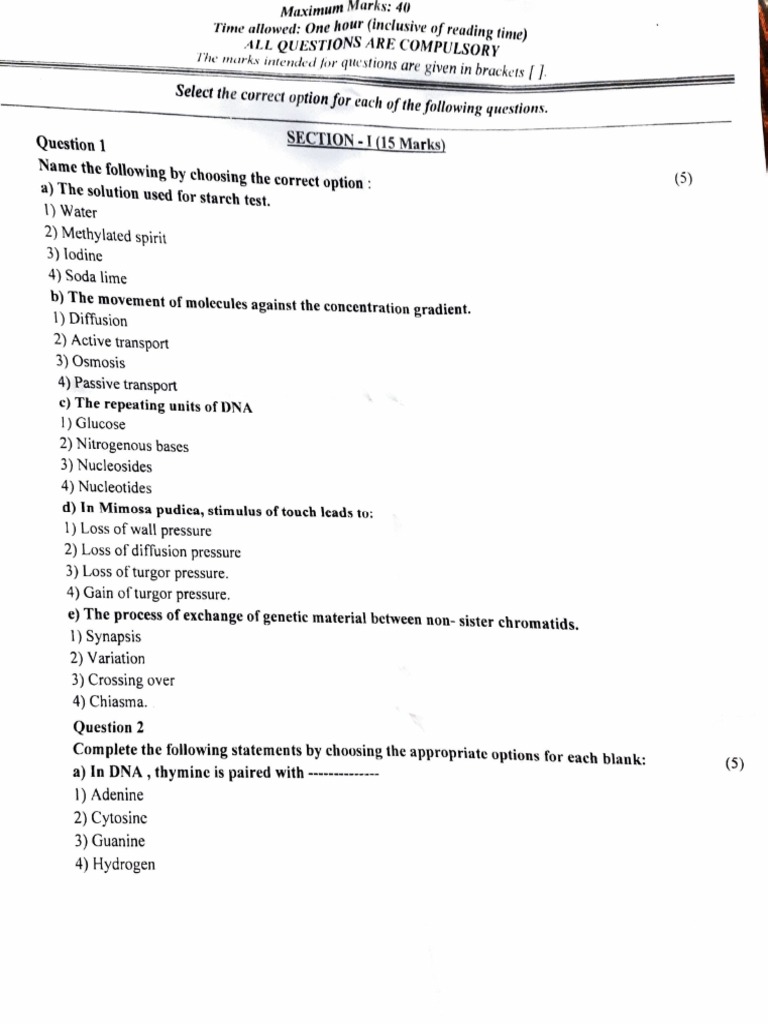 Bio School MCQ Paper | PDF | Leaf | Photosynthesis
