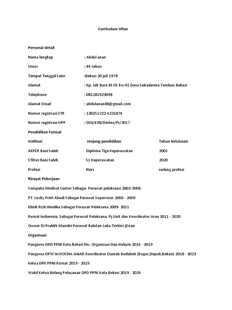 Curriculum Vitae Abdul Anan | PDF