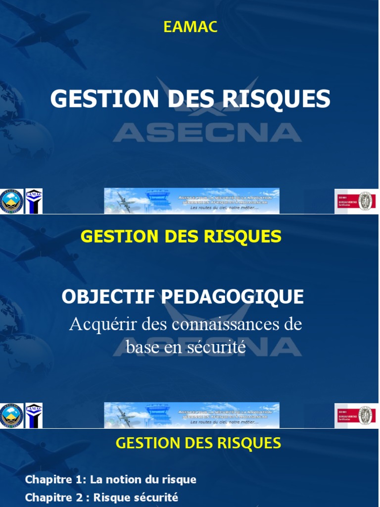 Gestion Des Risques 1 | PDF | Risque | Gestion des risques