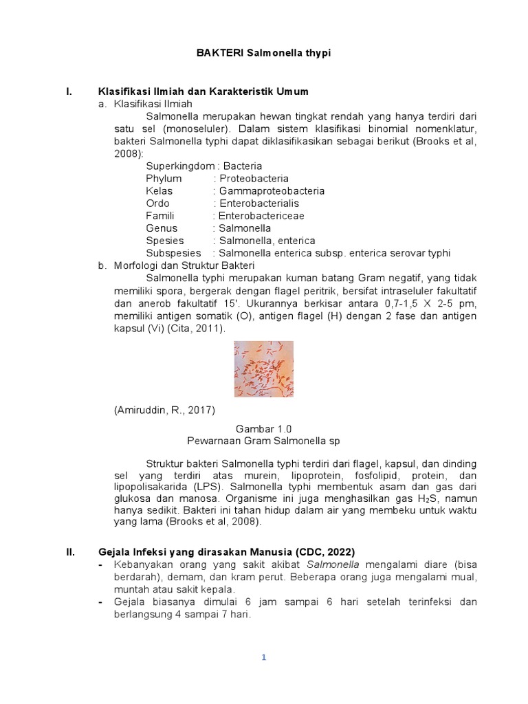 BAKTERI Salmonella Thypi | PDF