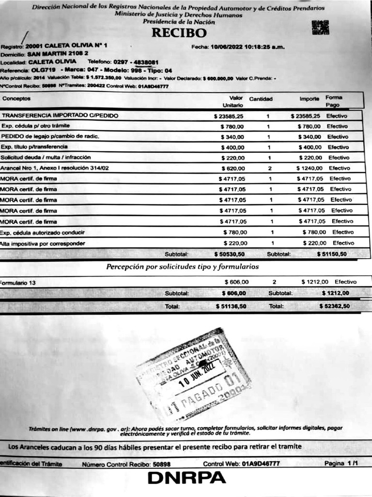 Ejemplo Recibo de Pago Dnrpa | PDF