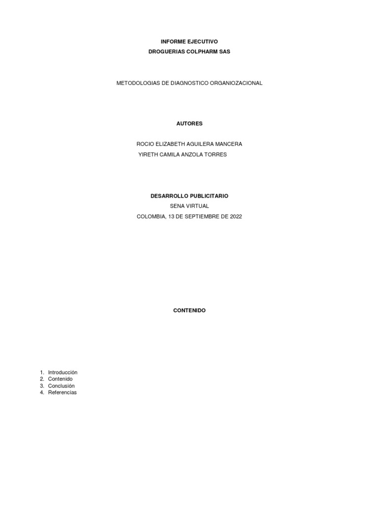 Informe Ejecutivo PDF | PDF | Marketing | Business