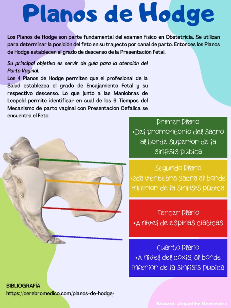 Planos de Hodge | PDF