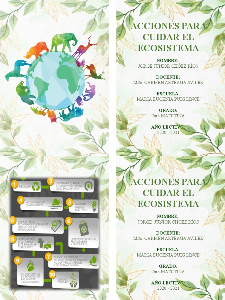 Acciones Para Cuidar El Ecosistema Pdf