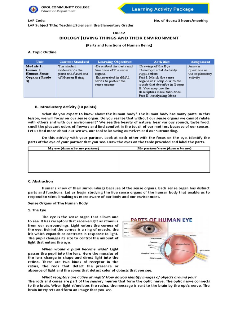 Understanding Human Sense Organs for Grade 3 | PDF | Taste | Senses