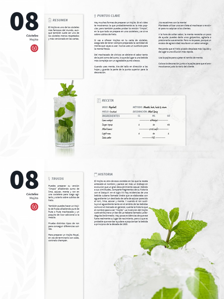 08 Mojito SPA | PDF | Bebida | Bebidas alcohólicas