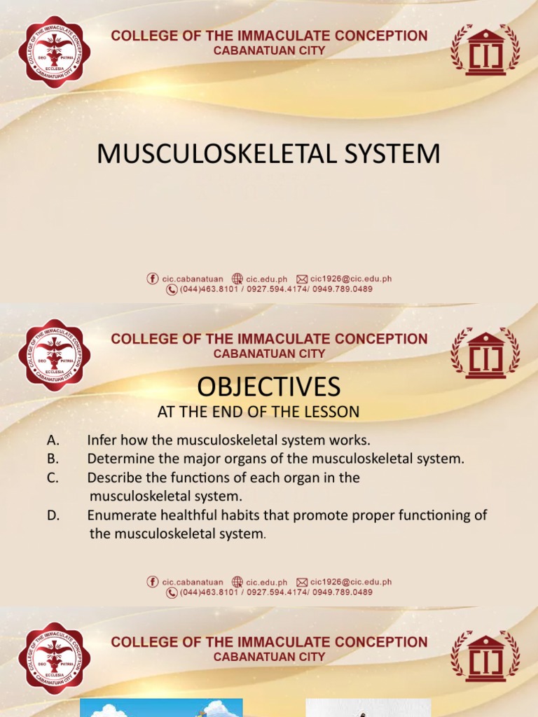 Understanding the Musculoskeletal System | PDF | Human Musculoskeletal ...