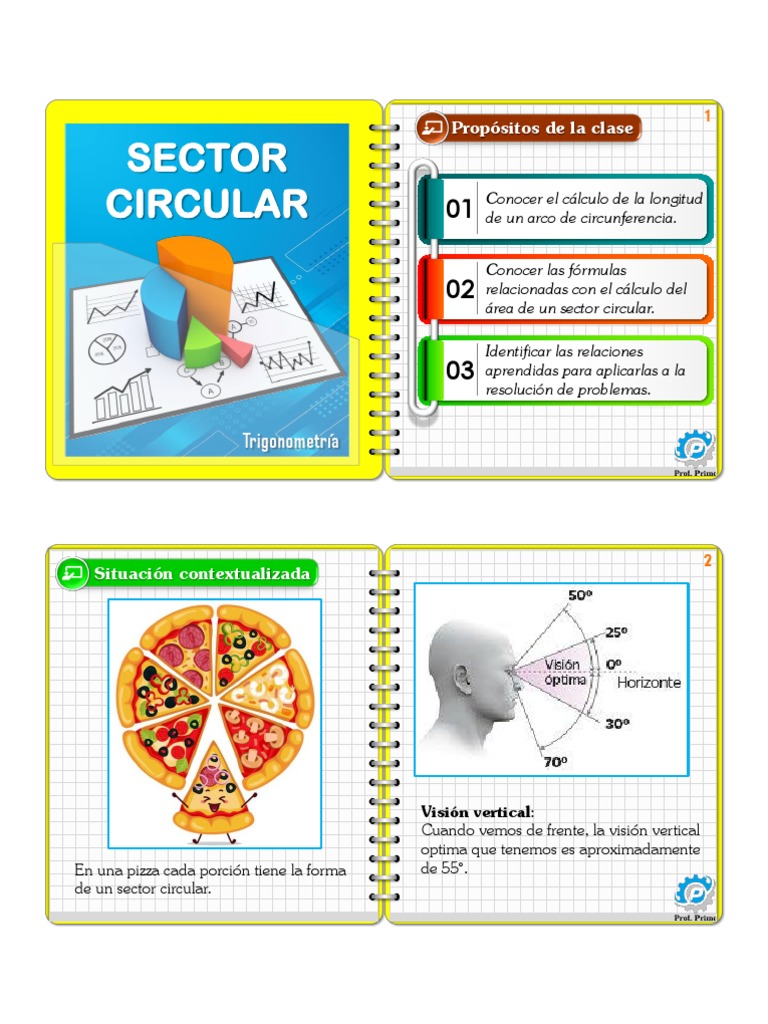 Teoria 02 Sector Circular | PDF | Curva | Geometría analítica