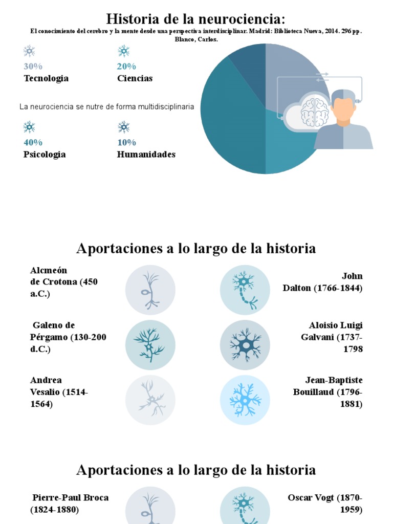 Neurociencia Infografia | PDF | Neurociencia | Anatomía