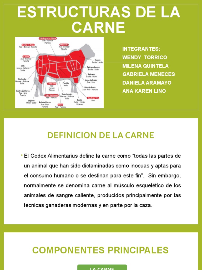 Diapositiva Estructura de La Carne | PDF | Hueso | La matriz extracelular