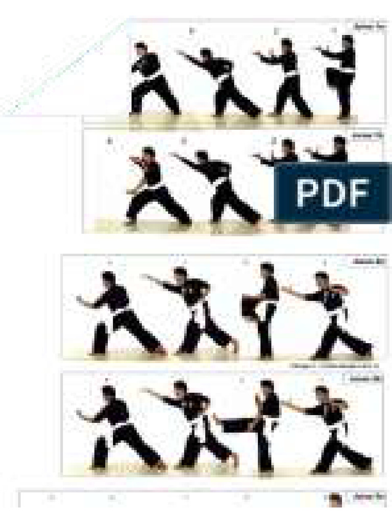 Data - 1063 - Download Buku Jurus Dan Senam PSHT 2 | PDF