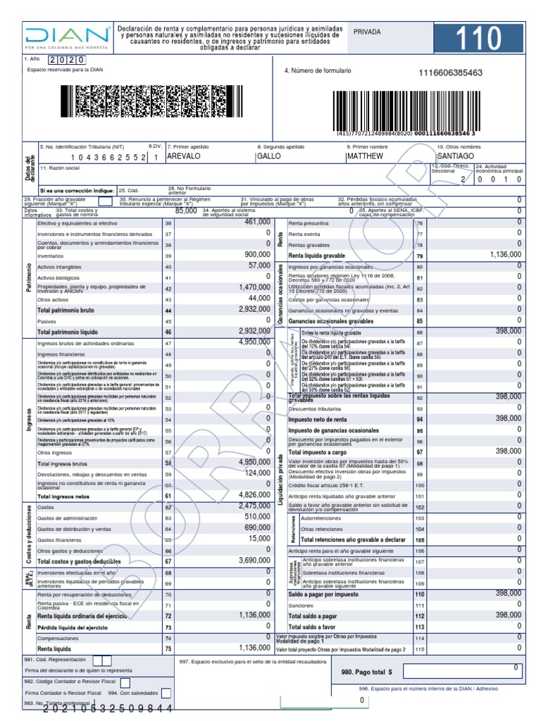 Formato 110 | PDF | Impuestos | Comercio
