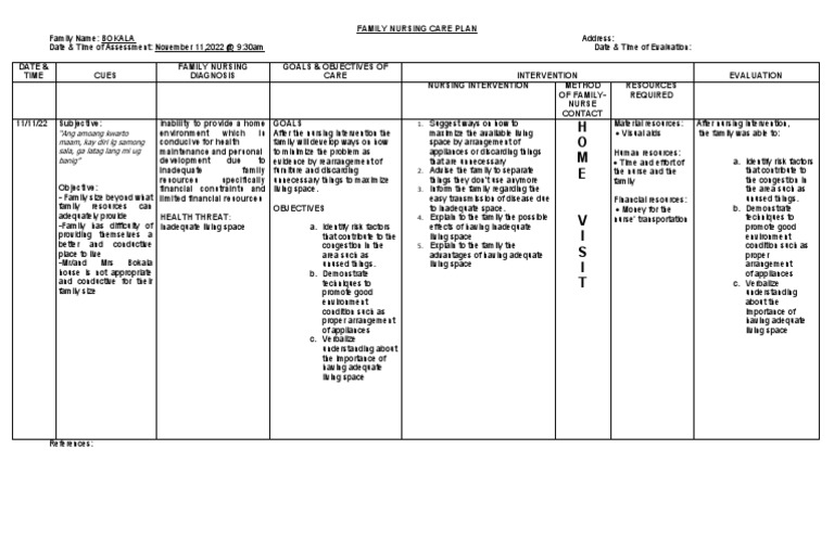 Maximizing Limited Living Space: A Family Nursing Care Plan for the ...