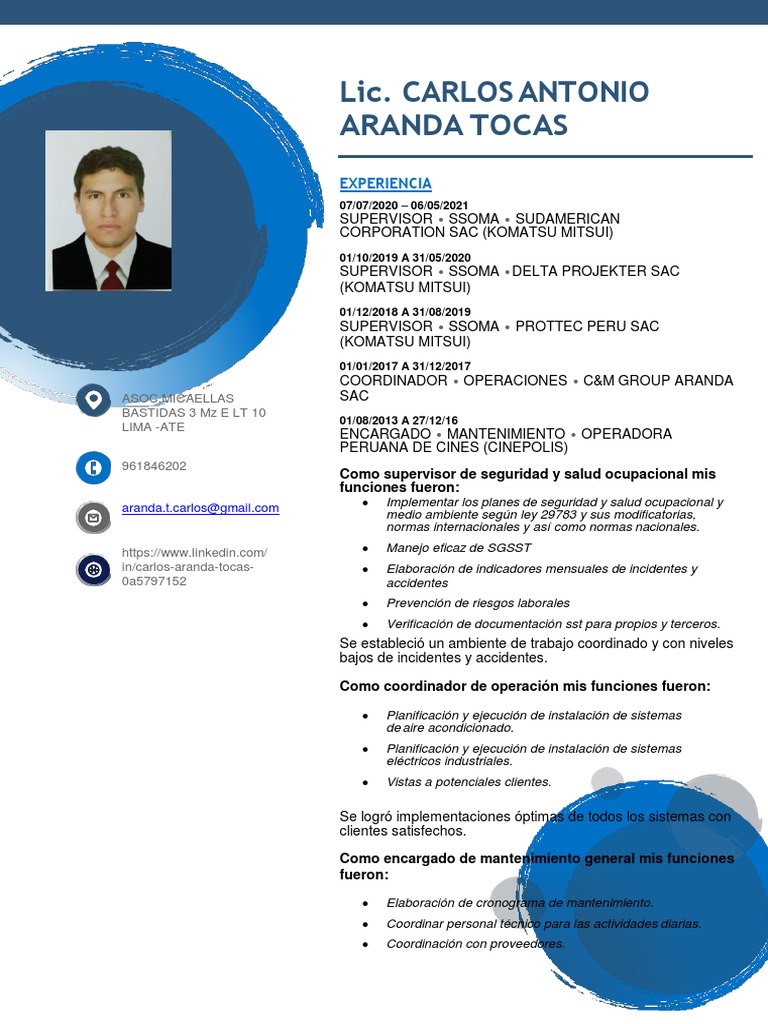 CV Carlos Aranda | PDF | Seguridad y salud ocupacional | Business