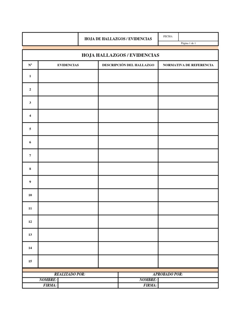 Auditoría - Formato de Hallazgos | PDF