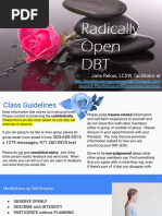 Six Levels of Validation in DBT | PDF | Communication | Science
