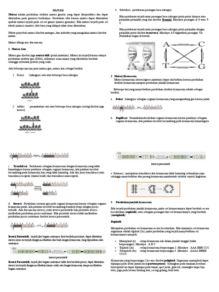 Materi Mutasi 2021 | PDF