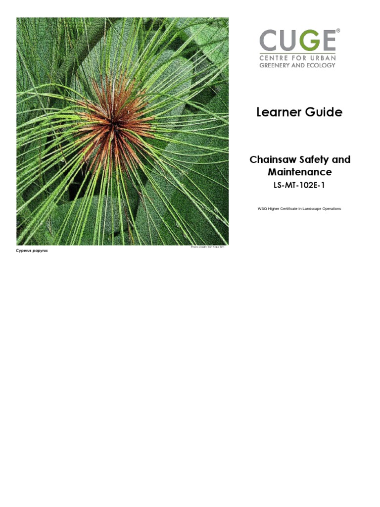 Learner Guide: Chainsaw Safety and Maintenance | PDF | Personal Protective Equipment ...