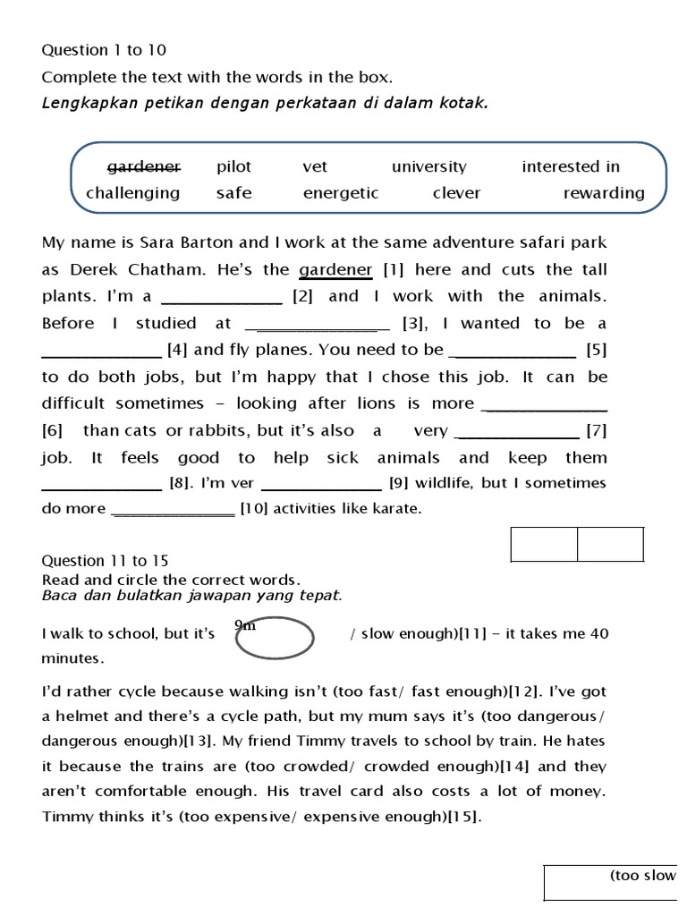 Job Interviews and Diary Entries | PDF