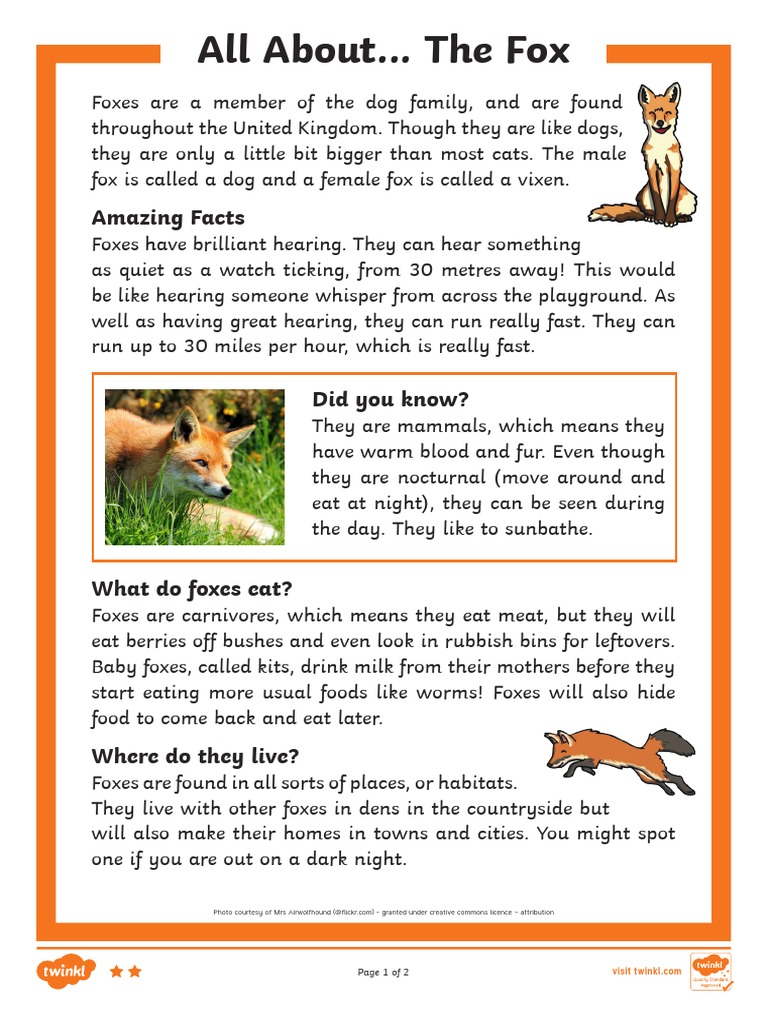 All About Foxes Reading Comprehension | PDF | Fox | Mammals